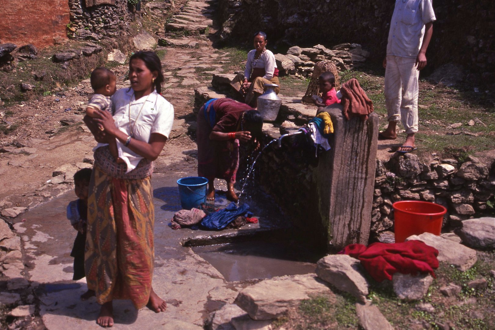 Envying the lower castes - Antarctica Journal