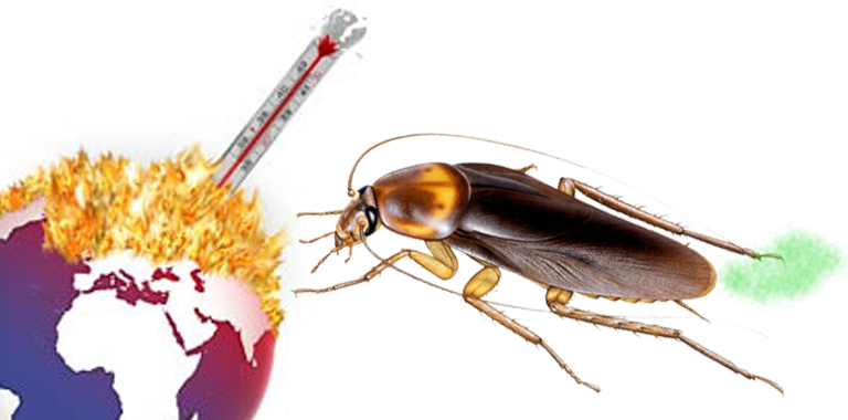 Cockroaches And Global Warming - Antarctica Journal