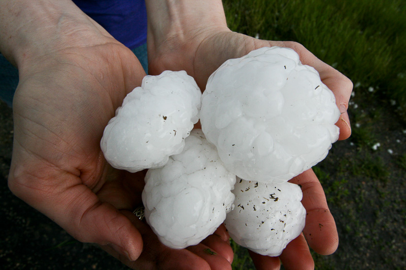 Hailstone - Lack of hail causes concern - Antarctica Journal