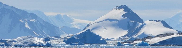 The Man Who Removed His Own Appendix - Antarctica Journal