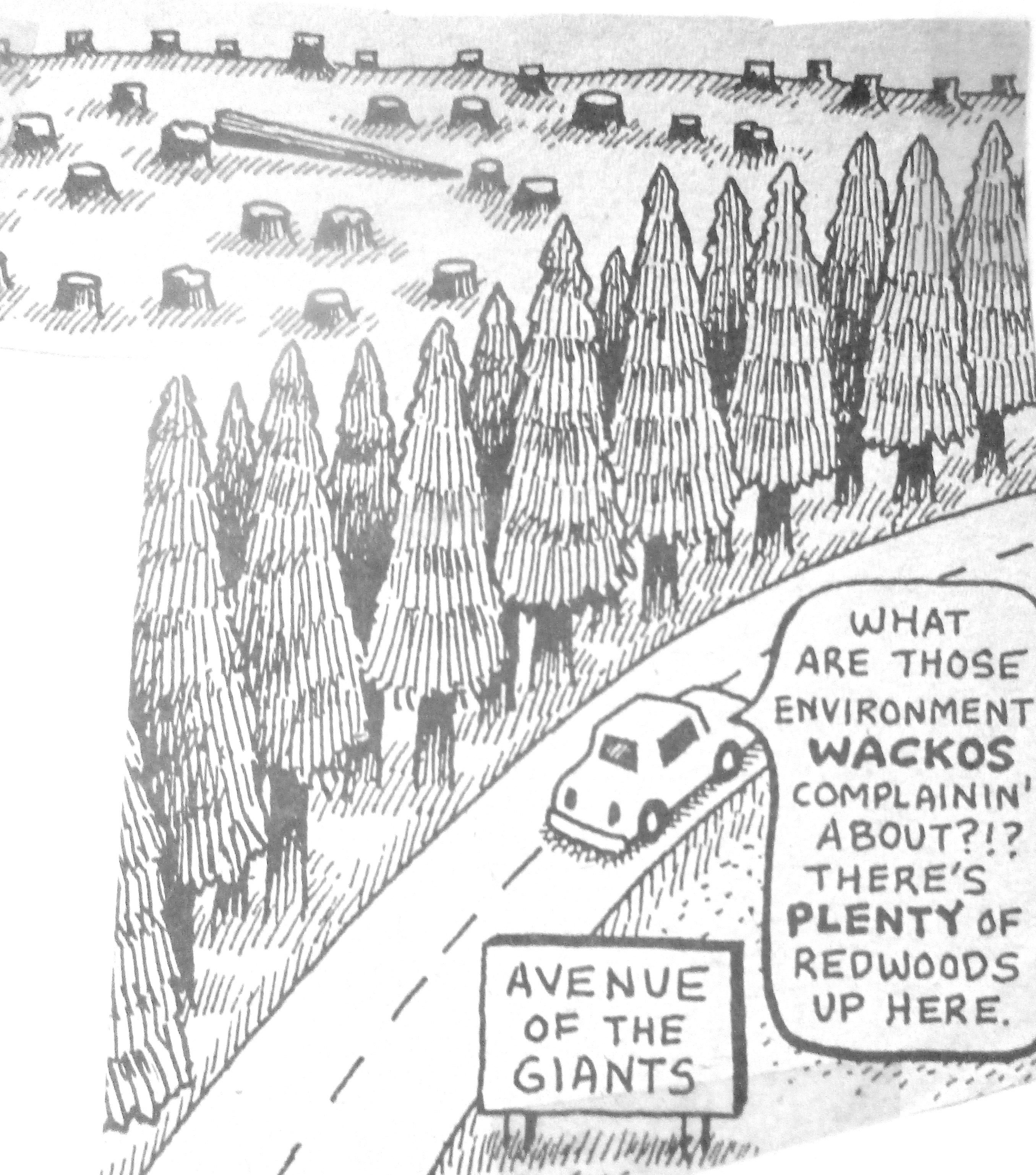 Cartoon - Avenue Of The Giants - Antarctica Journal