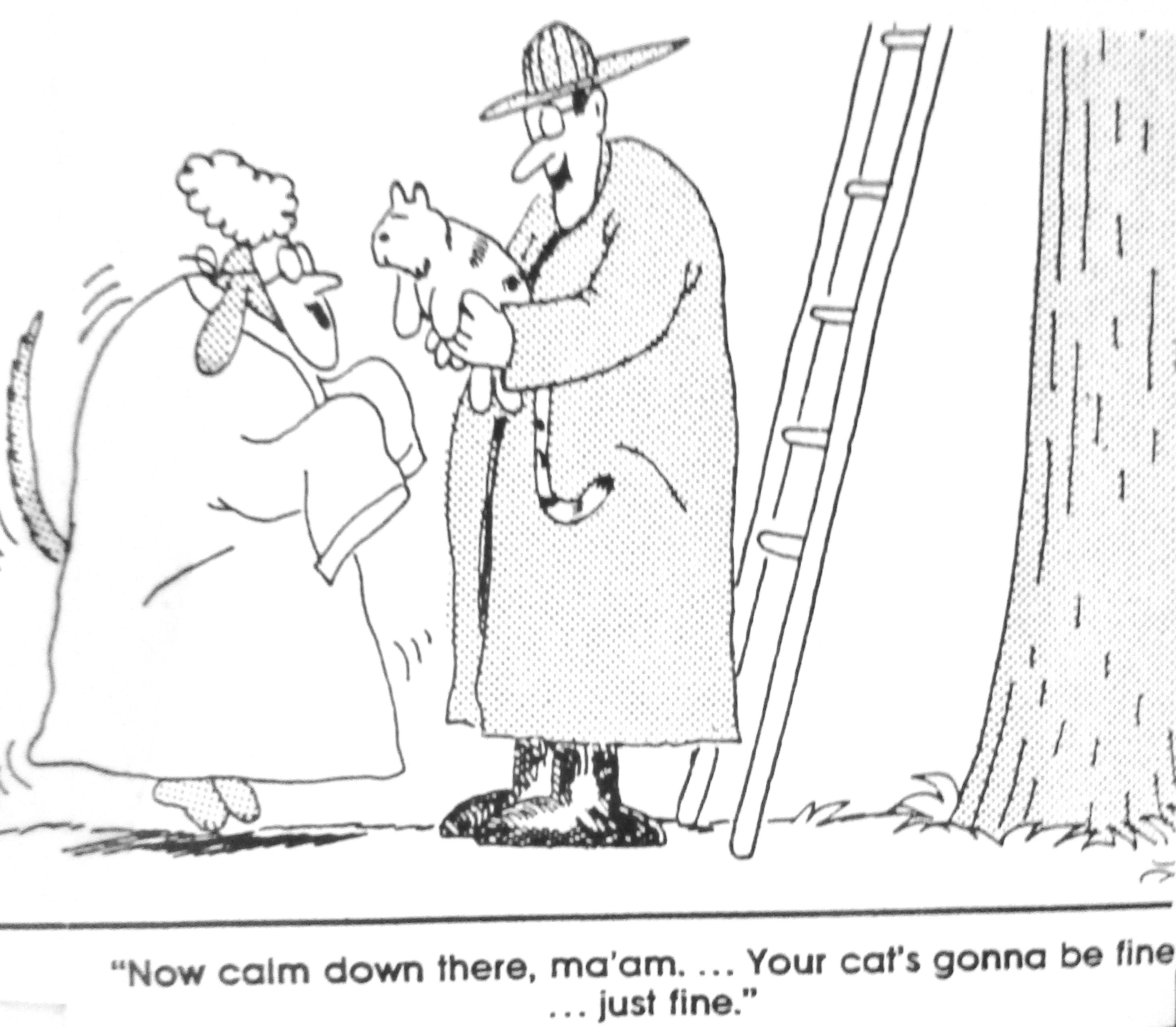 Cartoon - Dog Trickery - Antarctica Journal