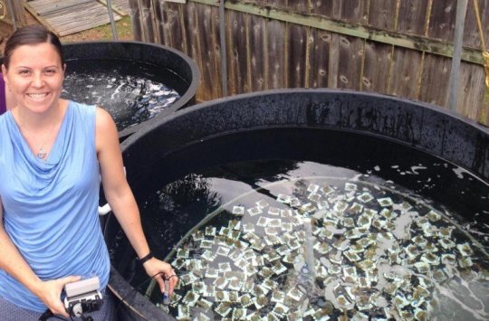 Effects of climate change on coral reefs and shellfish - Antarctica Journal