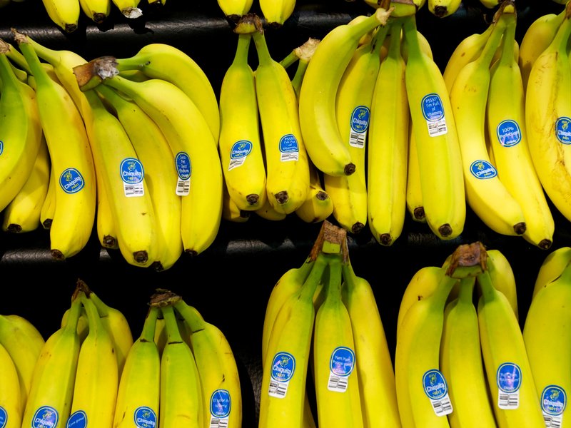 10 Foods Predicted to Go Extinct - Antarctica Journal