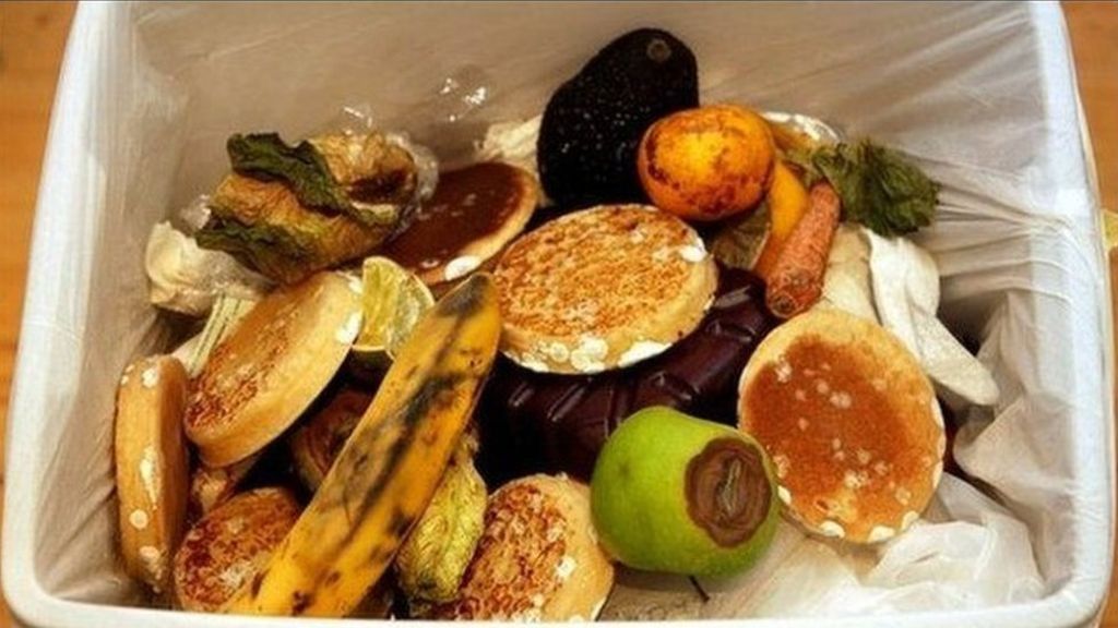 Fifth of world's food lost to waste and over-eating - Antarctica Journal