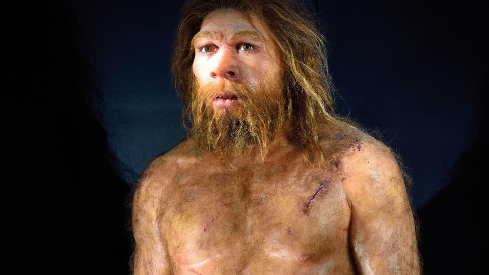 Neanderthal Genes Influence Humans - Antarctica Journal